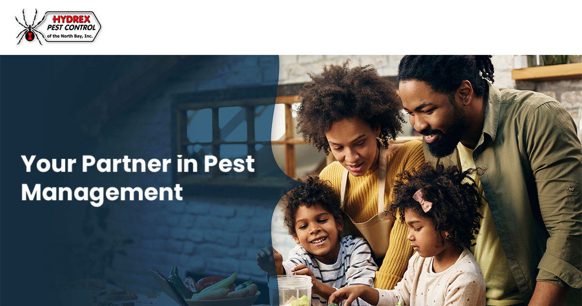 Petaluma Pest Control | Hydrex Pest Control