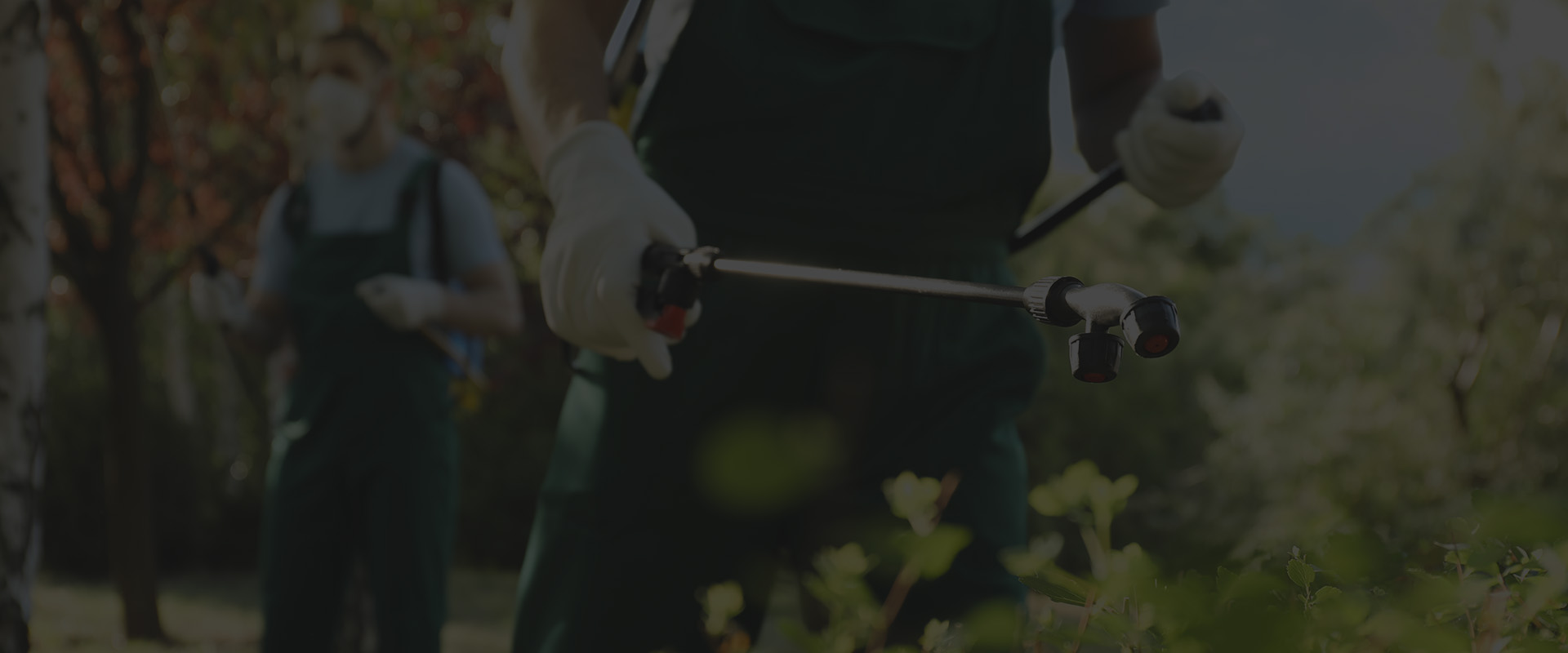 Petaluma Pest Control | Hydrex Pest Control